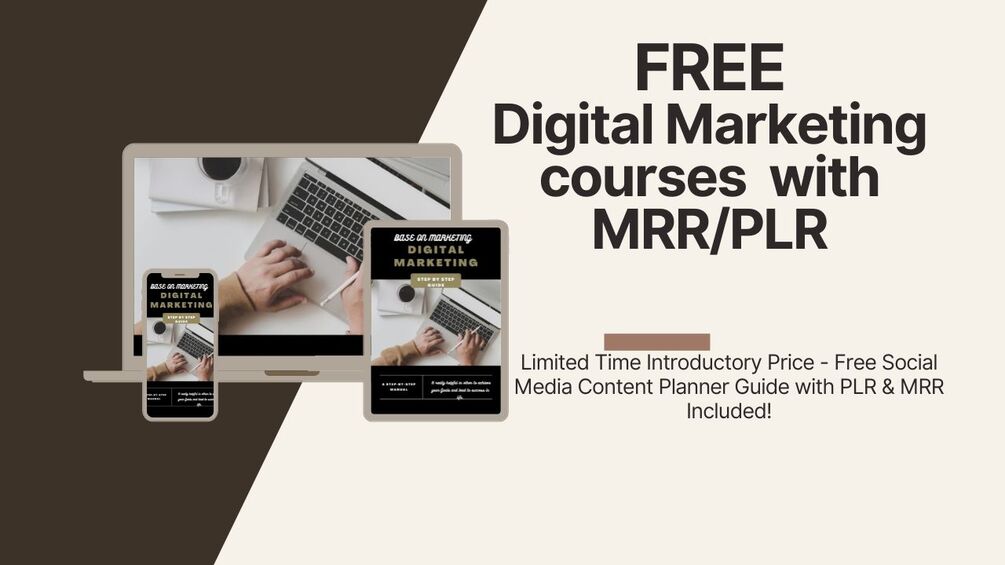 Basic on Digital Marketing course with MRR & PLR