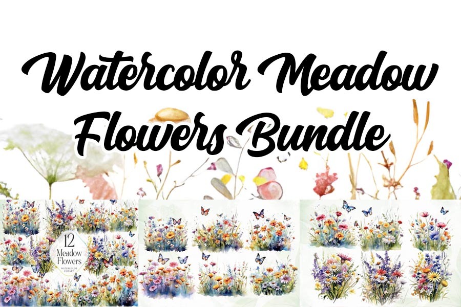 Watercolor Meadow Flowers