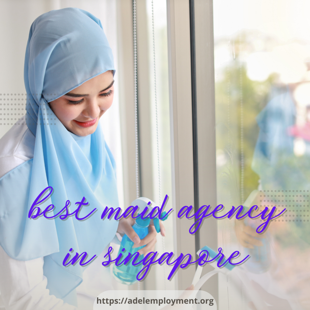 Unlocking Excellence in Home Assistance: Best Maid Agency Singapore