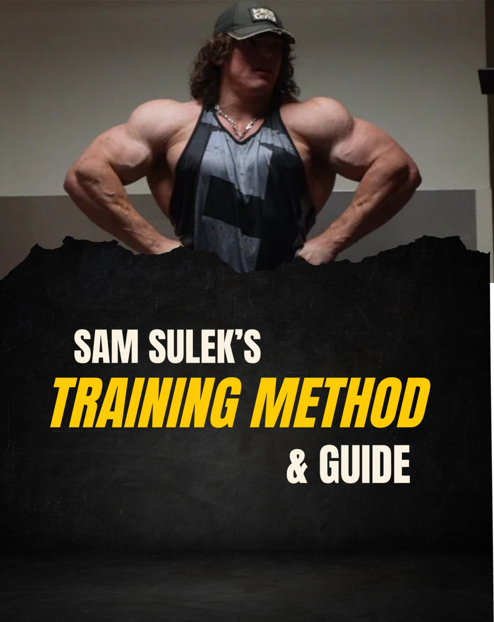 Sam Sulek's Training Method & Guide