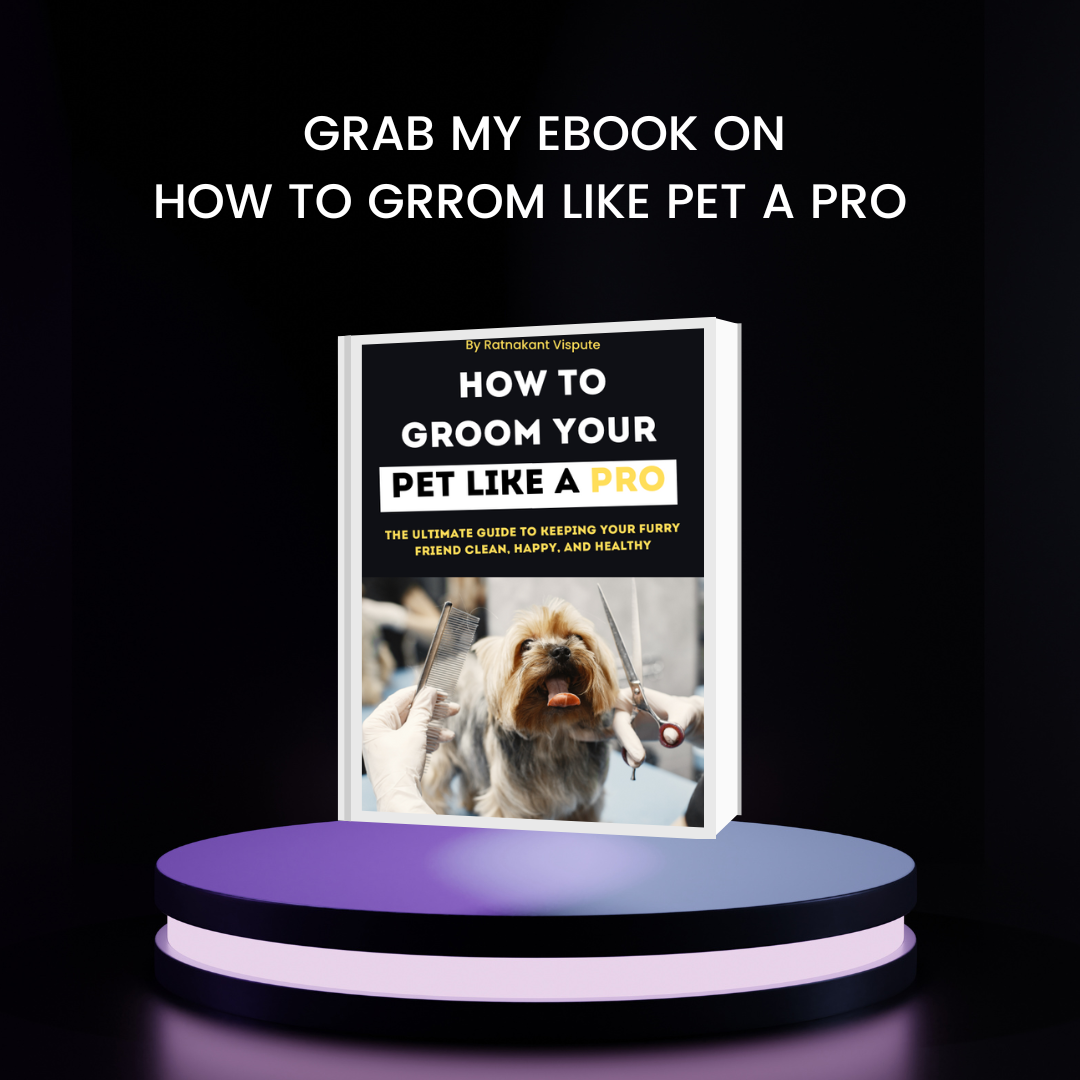 How to Groom Your Pet Like a Pro