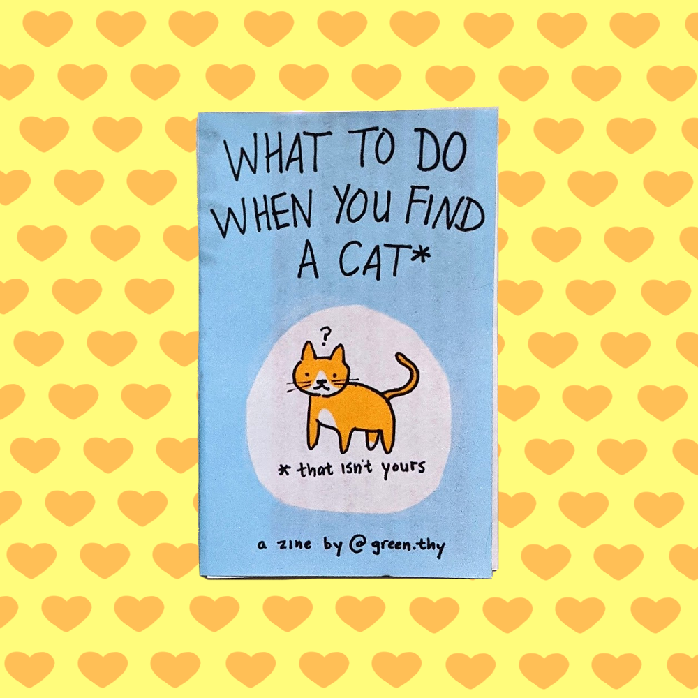 what to do when you find a cat zine