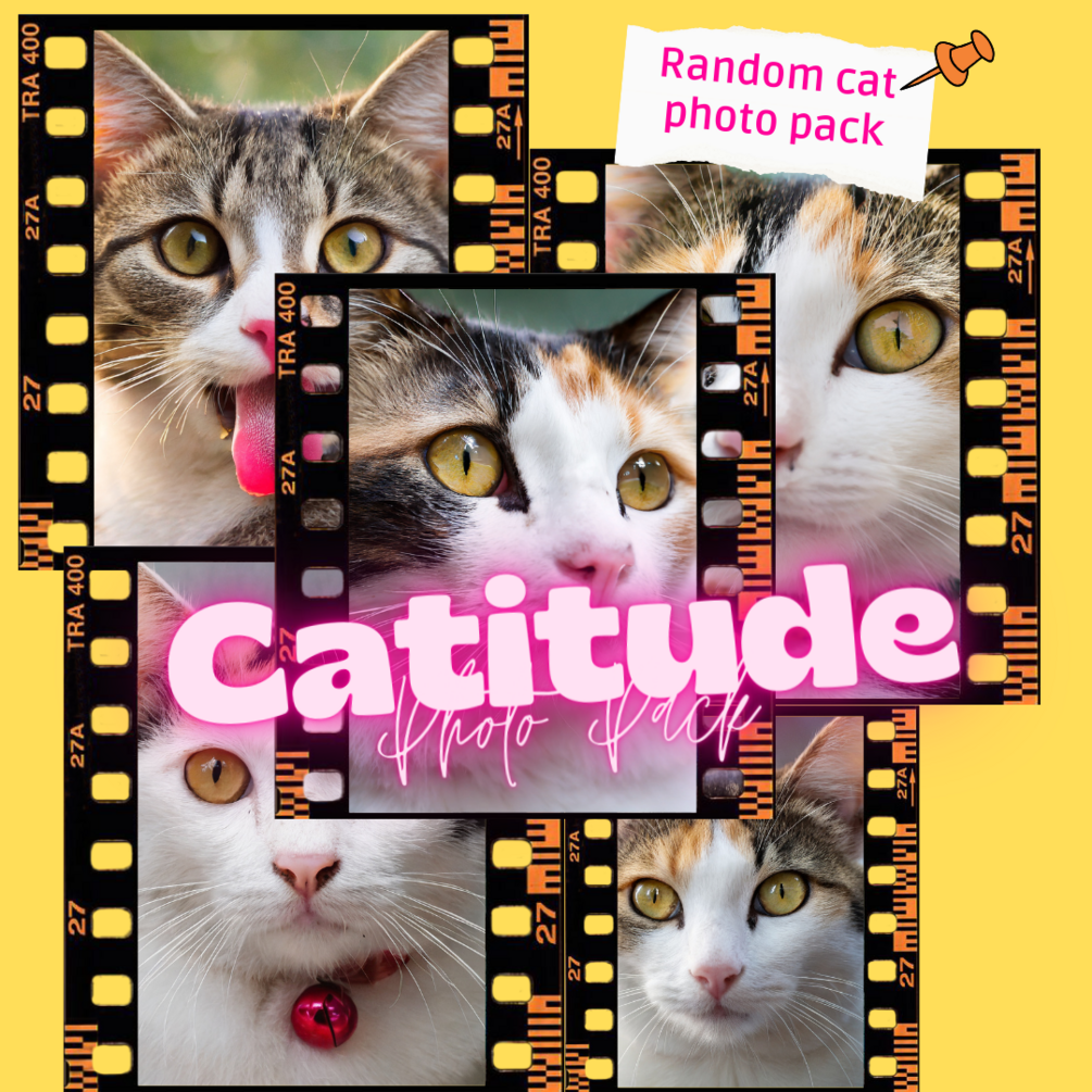 Catitude Photo Pack