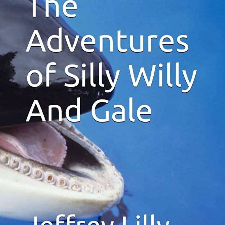 The Adventures Of Silly Willy And Gale