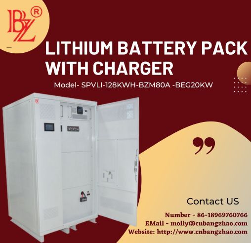 Lithium ion battery charger inverter