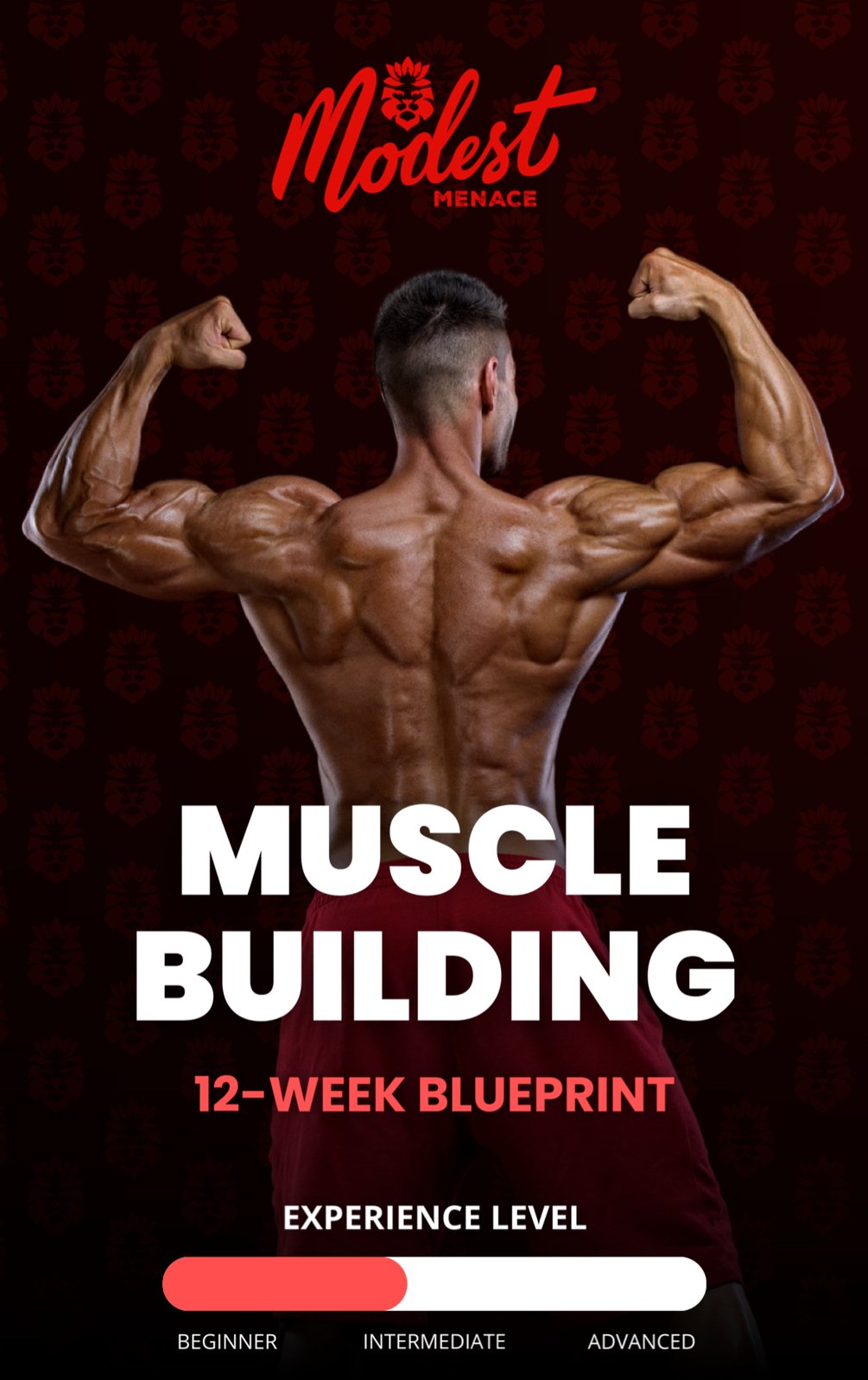 THE MENACE METHOD: BEGINNER'S ELITE BLUEPRINT