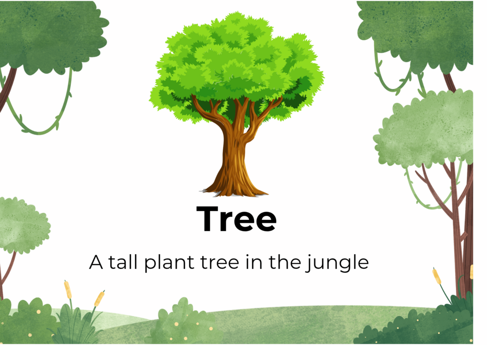 Flashcards"Jungle-Themed English Flashcards (10 Basic Words)"