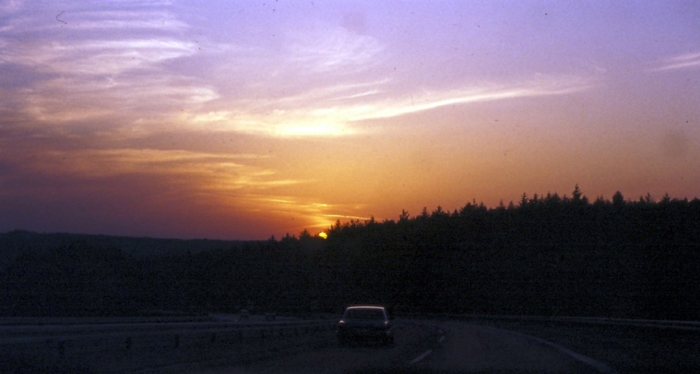 Signature Percussion by Arpyem - Black Forest Volume 1