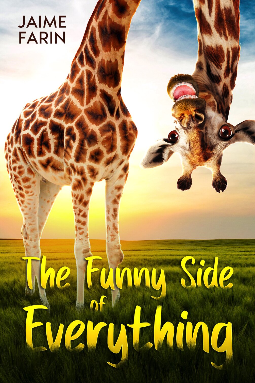 The Funny Side of Everything