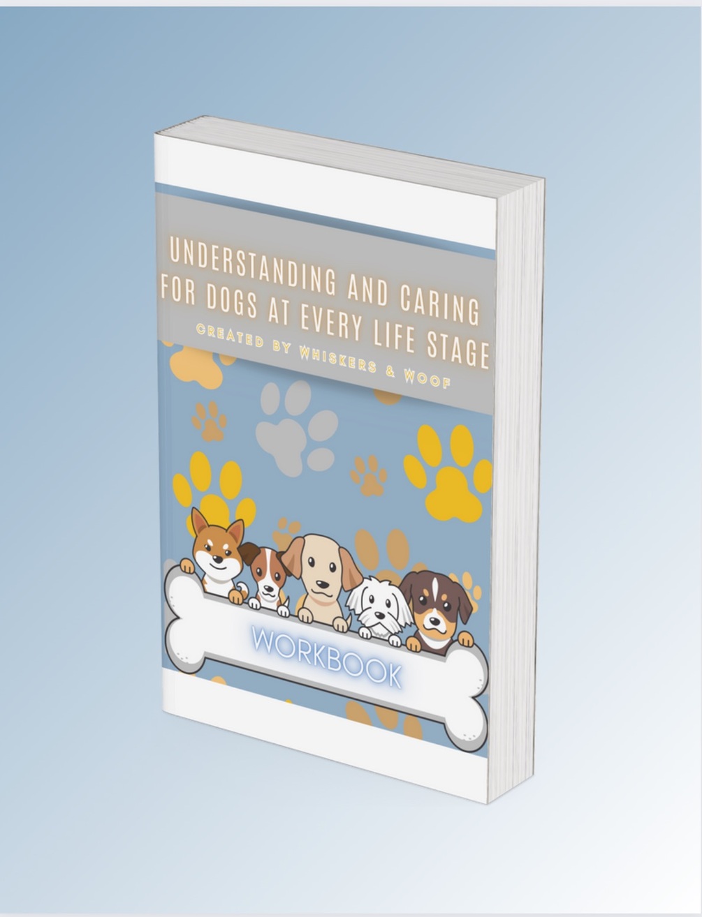 Understanding and Caring For Dogs at Every Life Stage