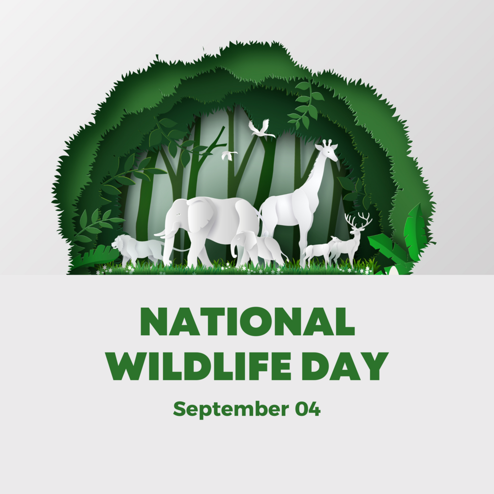 Green National Wildlife Day