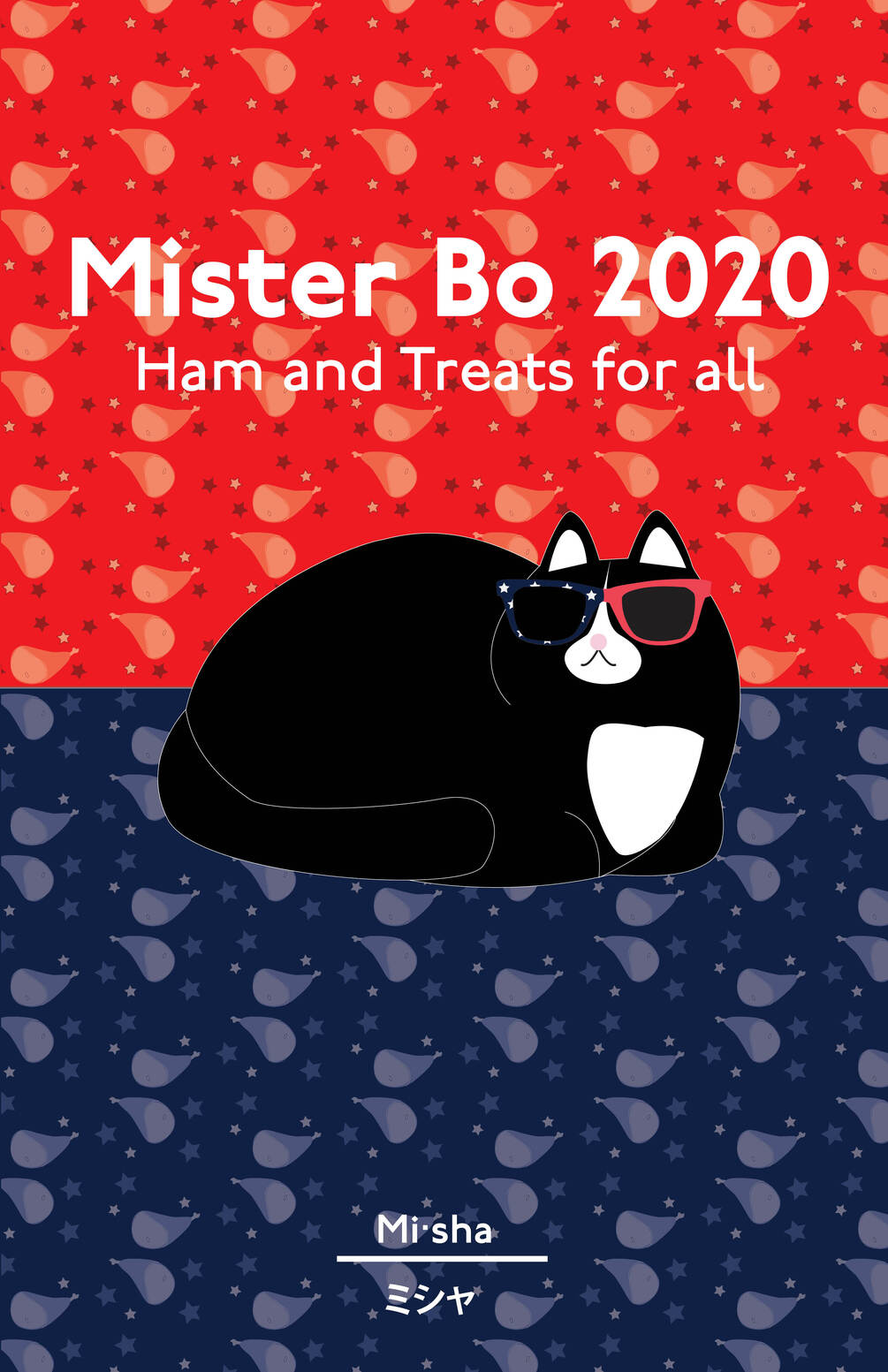 Mister Bo 2020 Campaign Poster