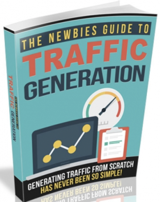 The Newbies Guide to Traffic