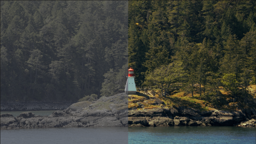Vintage Summer LUT (Davinci Resolve, Premiere Pro, Final Cut Pro)