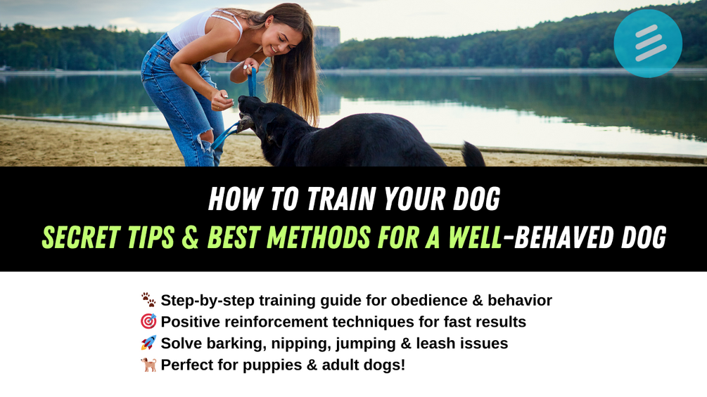 How to Train Your Dog The Ultimate Guide to Obedience, Behavior, and ...