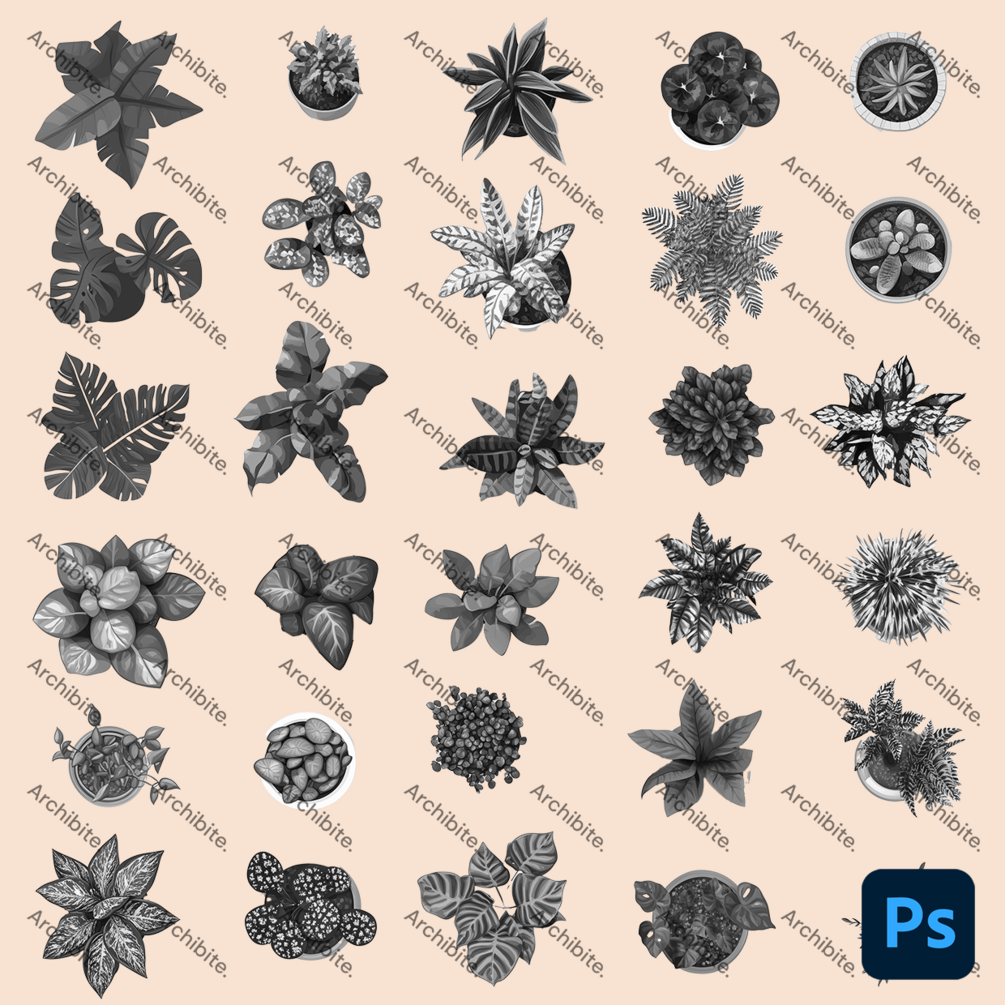Photoshop Brushes House Plants Plan 2