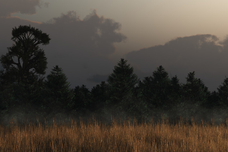 Dawn Field Digital Art Background