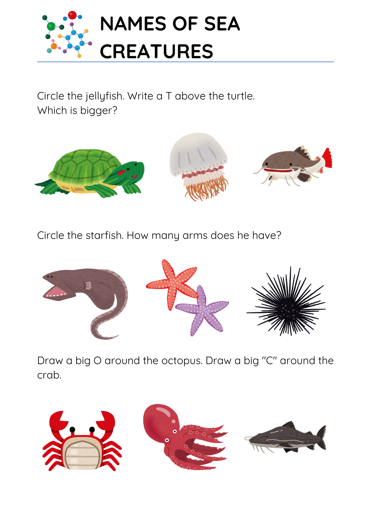 PLANTS AND ANIMALS WORKSHEETS