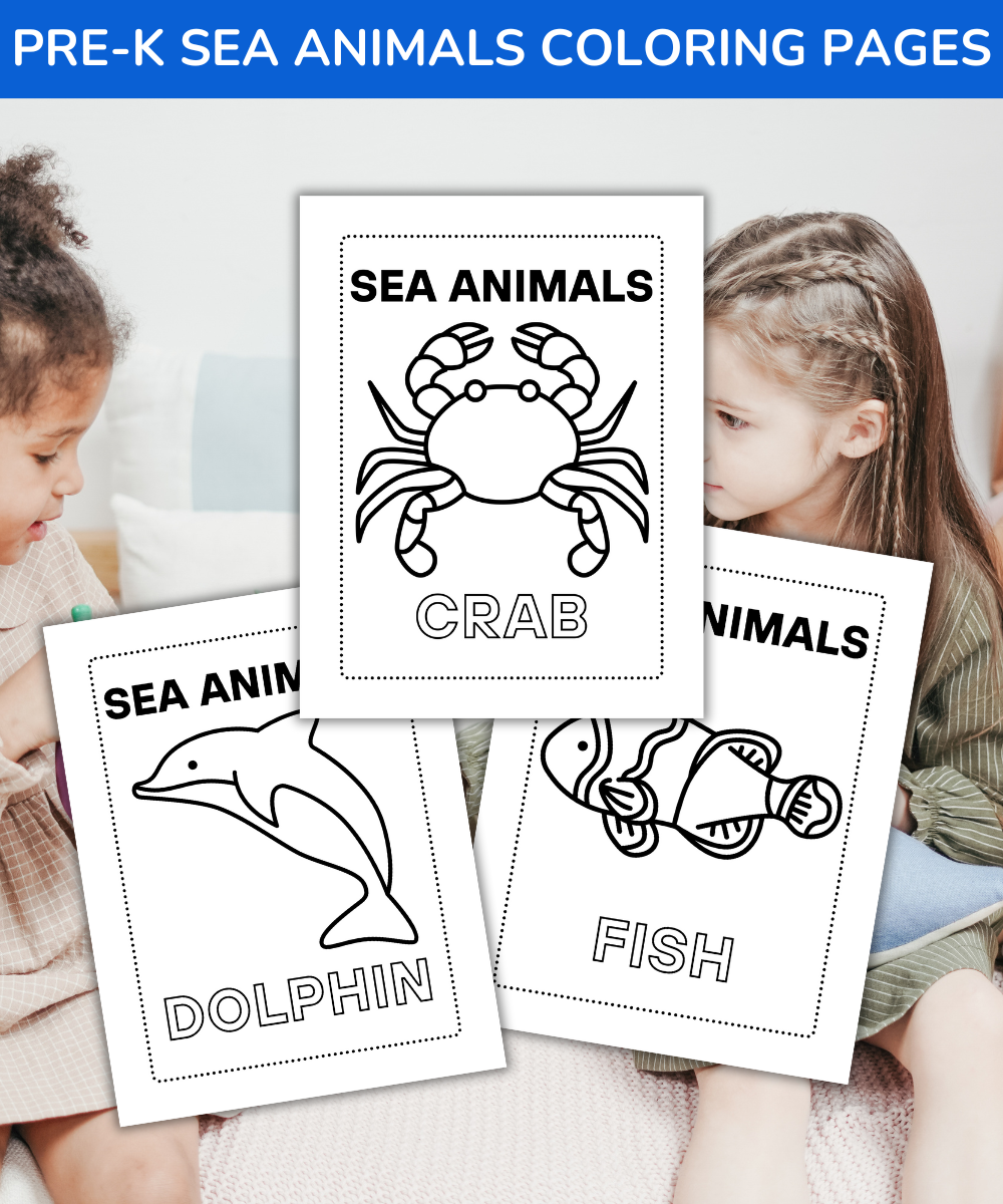 PreK Sea Animals Coloring Pages - Set of 14 - Commercial Use Allowed