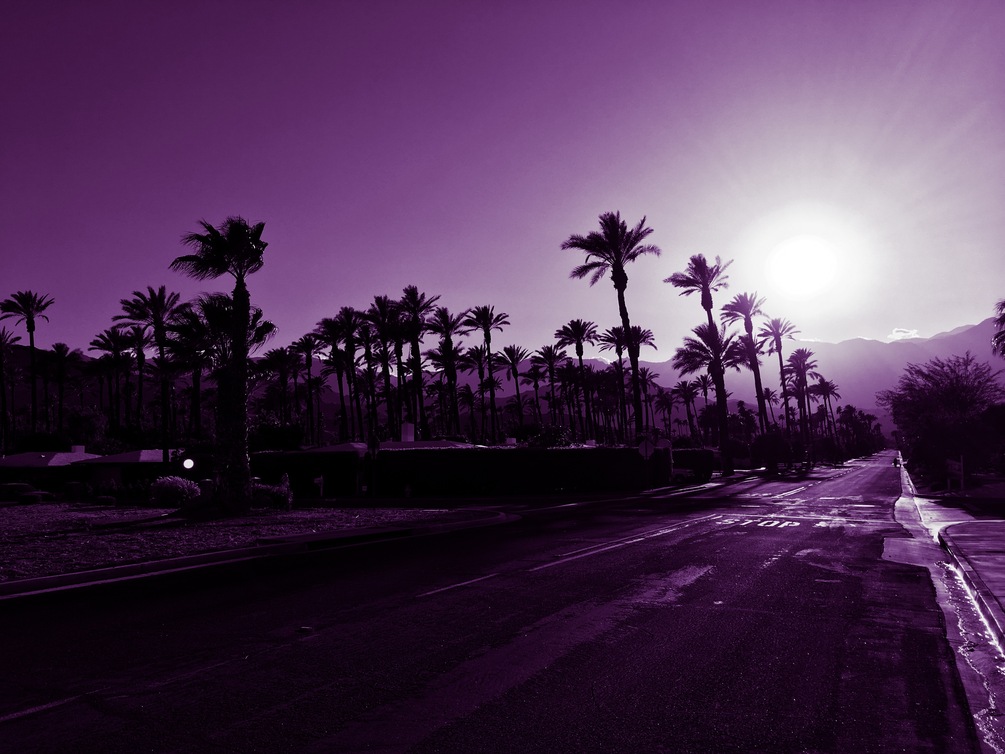 The Rich Visualize Success