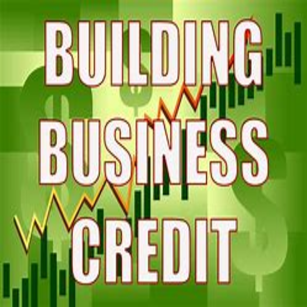 Building Business Credit Guide
