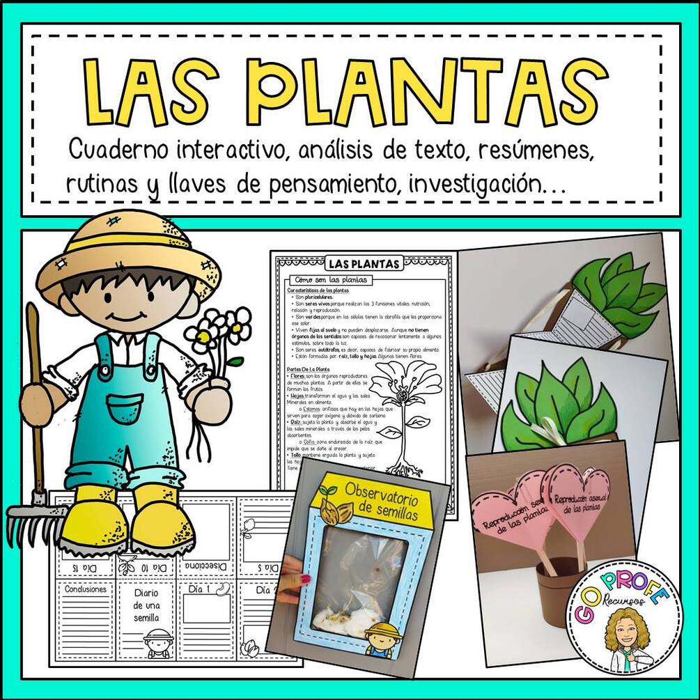 Las plantas