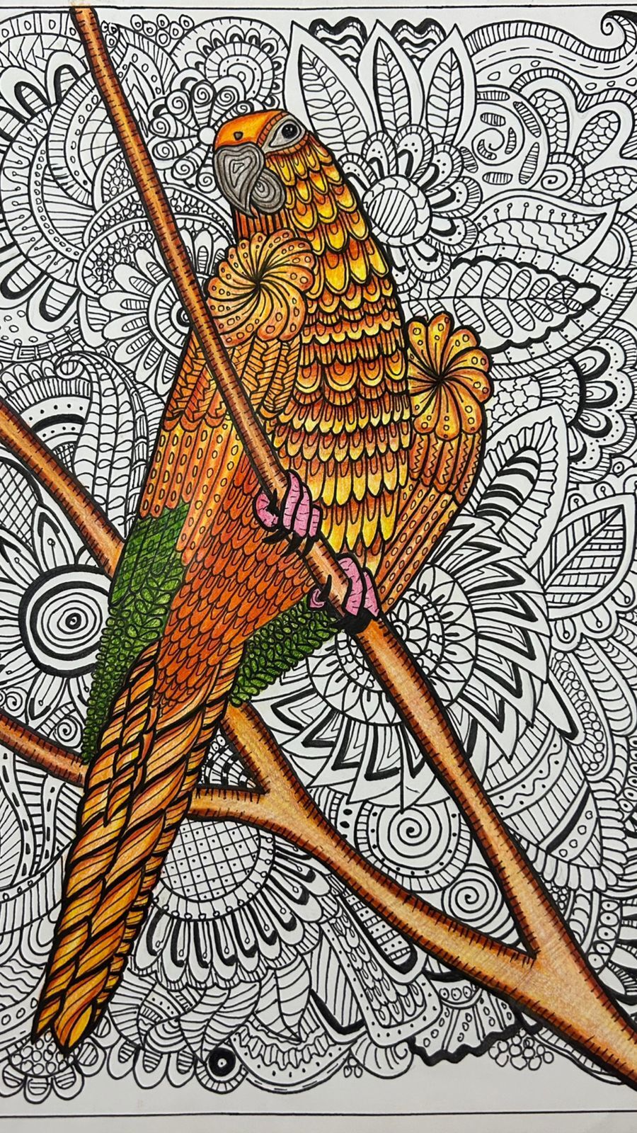 Mandala Parrot Elegance