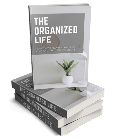 The Organized LifeStyle