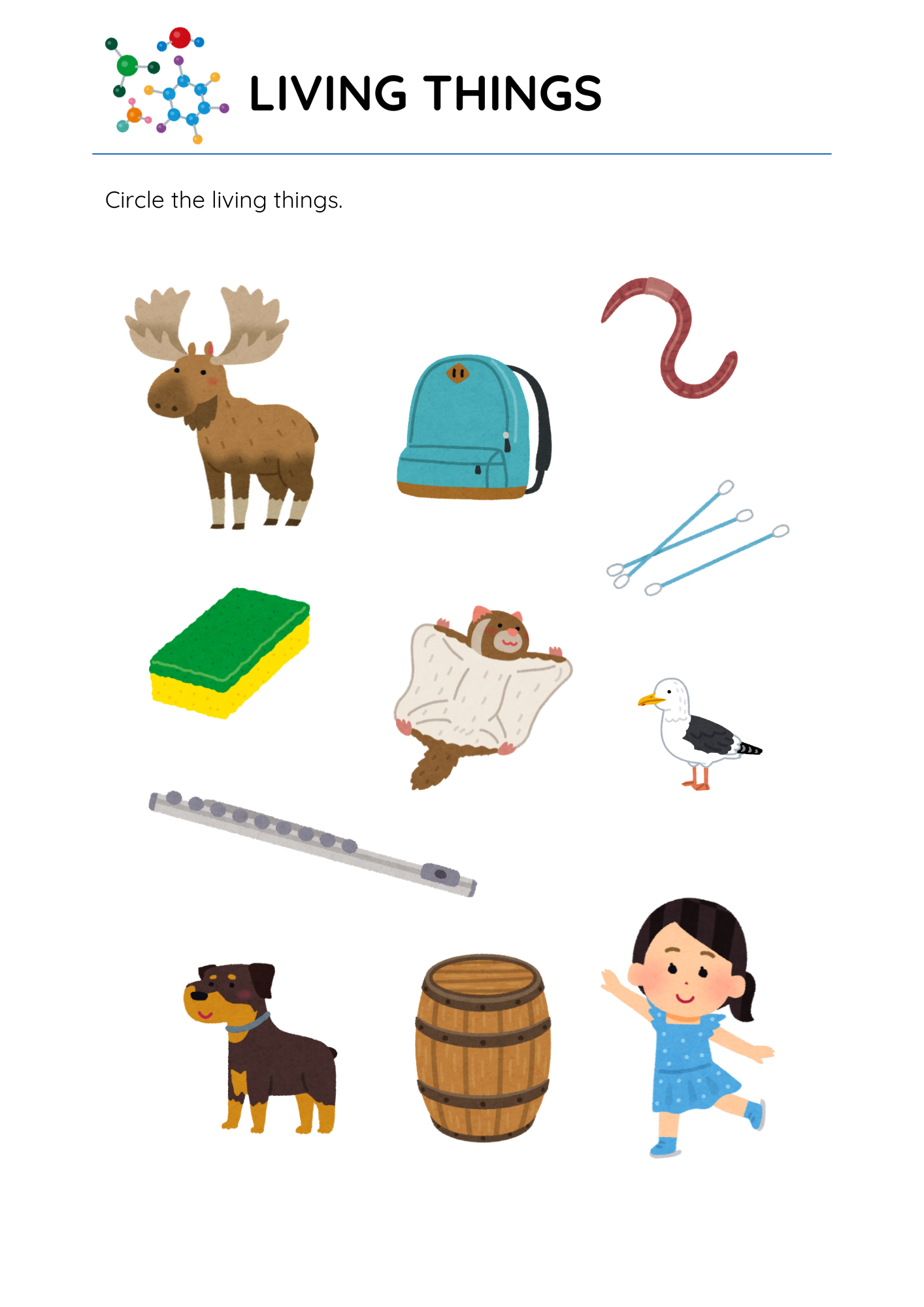 PLANTS AND ANIMALS WORKSHEETS