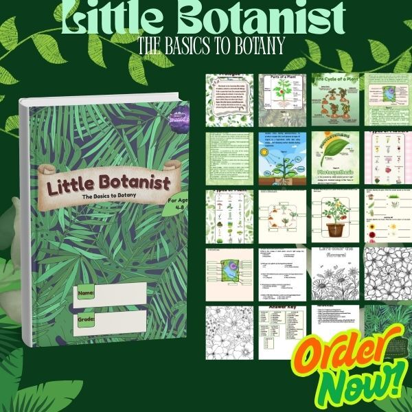 Little Botanist The Basics to Botany Plants Printable Coloring and ...