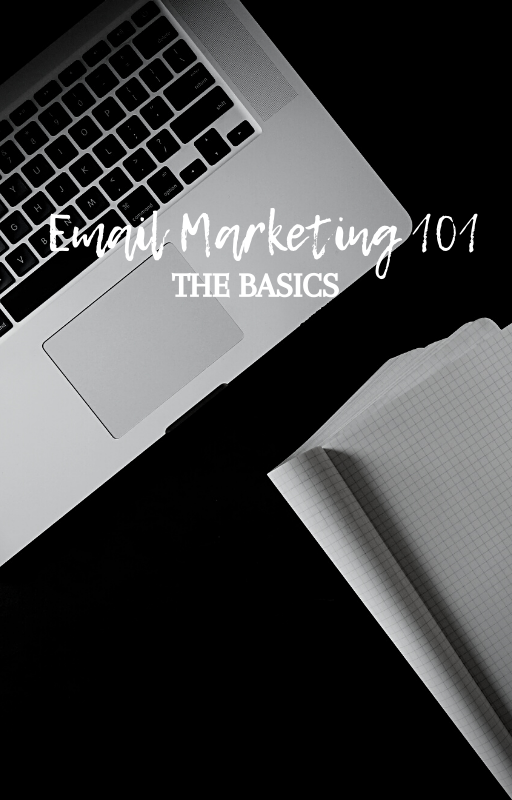 Email Marketing 101 THE BASICS