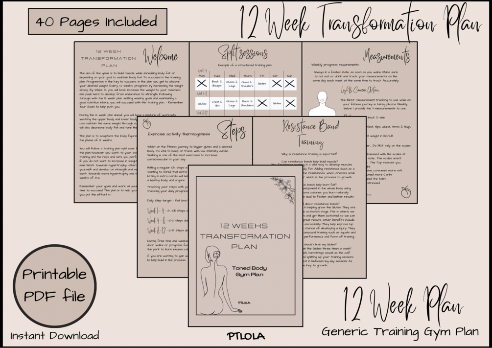 12 Week Transformation gym plan - Generic