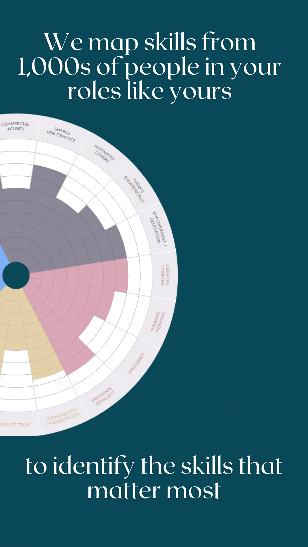 Fulfill potential - Benchmark, development plan & expert coaching (40%OFF)