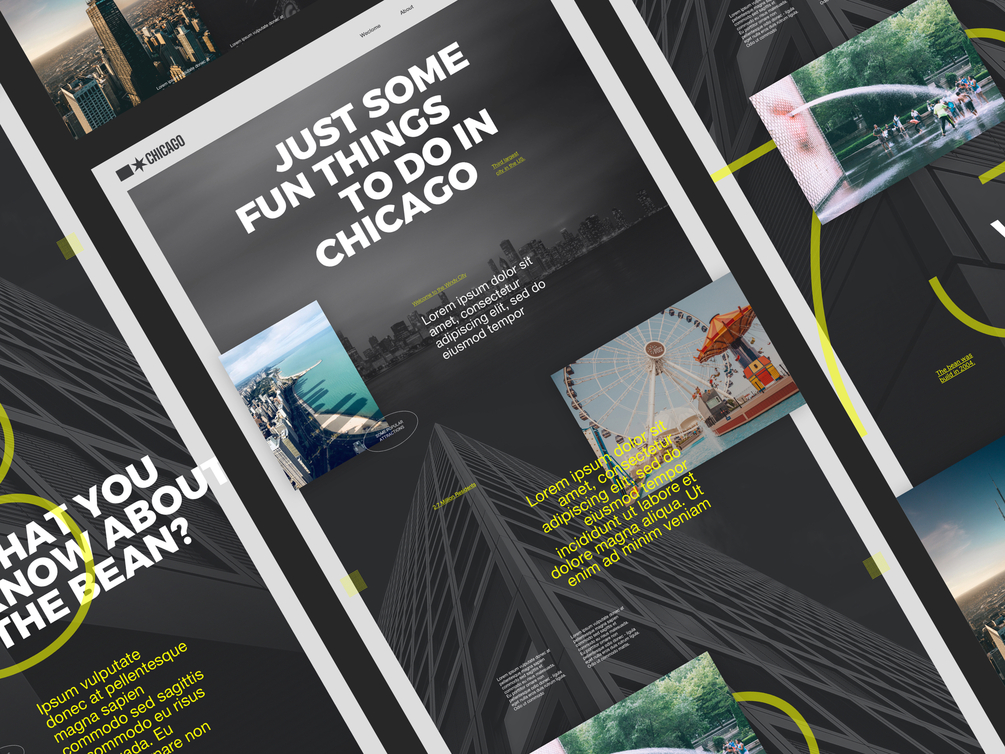 History of Chicago - Website Template