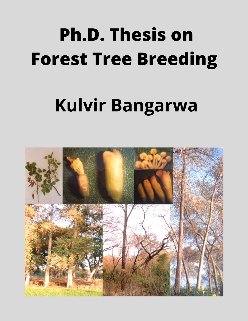 Ph.D. Thesis on Forest Tree Breeding-Kulvir Singh Bangarwa