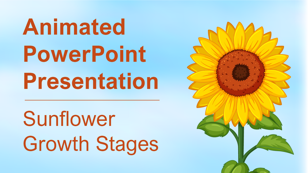 Animated PowerPoint Presentation-Sunflower Growth Stages