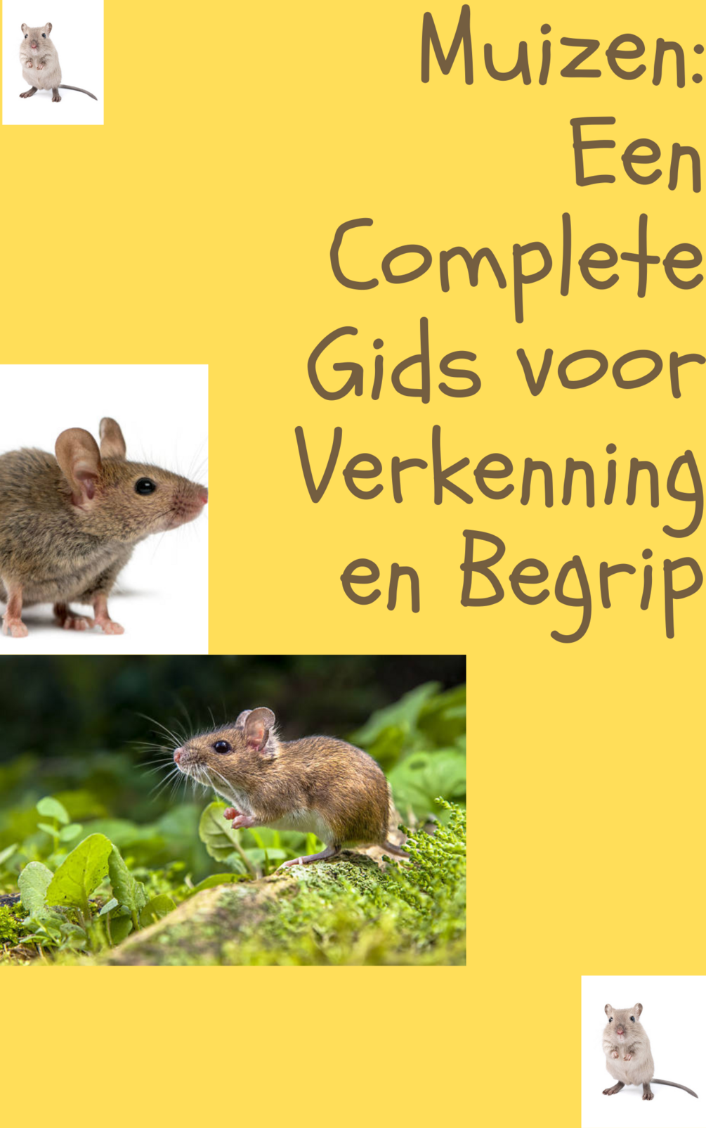 Muizen: Een Complete Gids voor Verkenning en Begrip