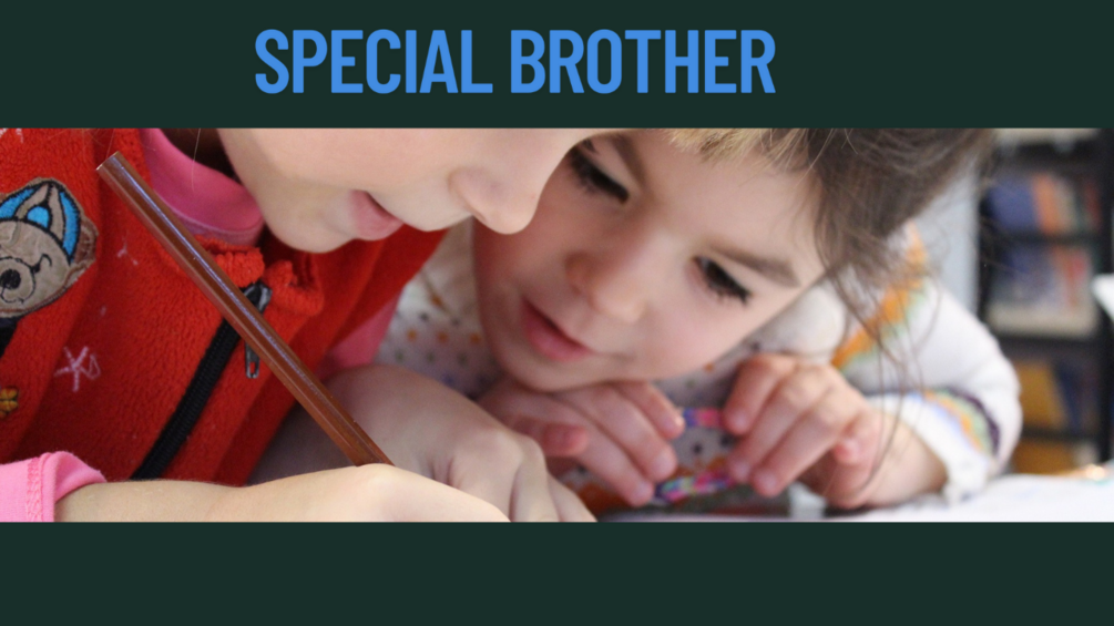 SPECIAL BROTHER BOOK