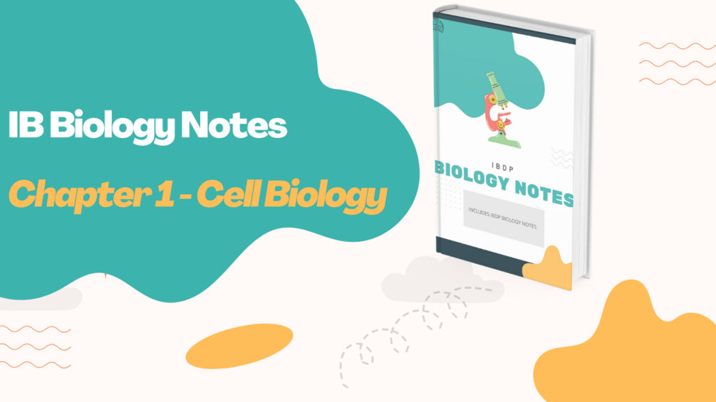 IB Biology Notes Chapter 1