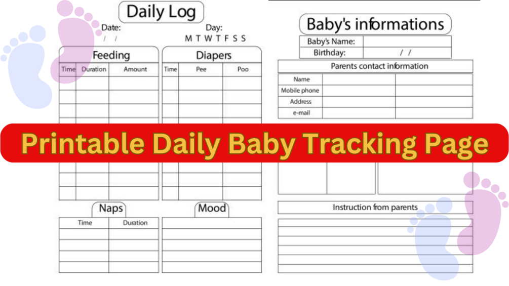 Nanny log book