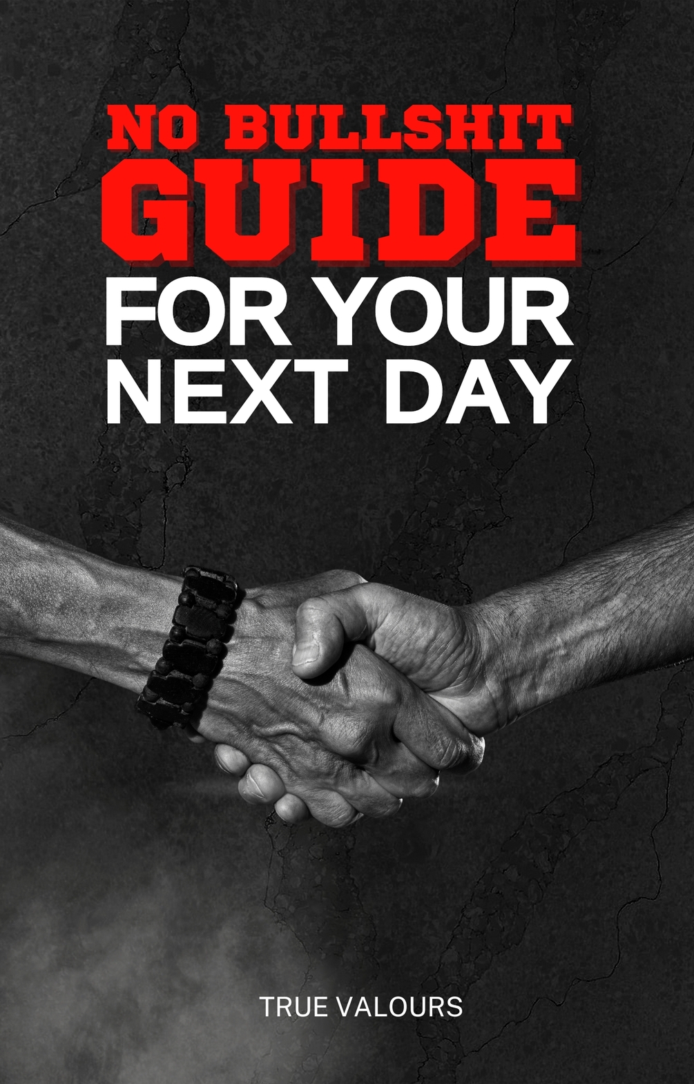 NO BULLSHIT GUIDE FOR YOUR NEXT DAY