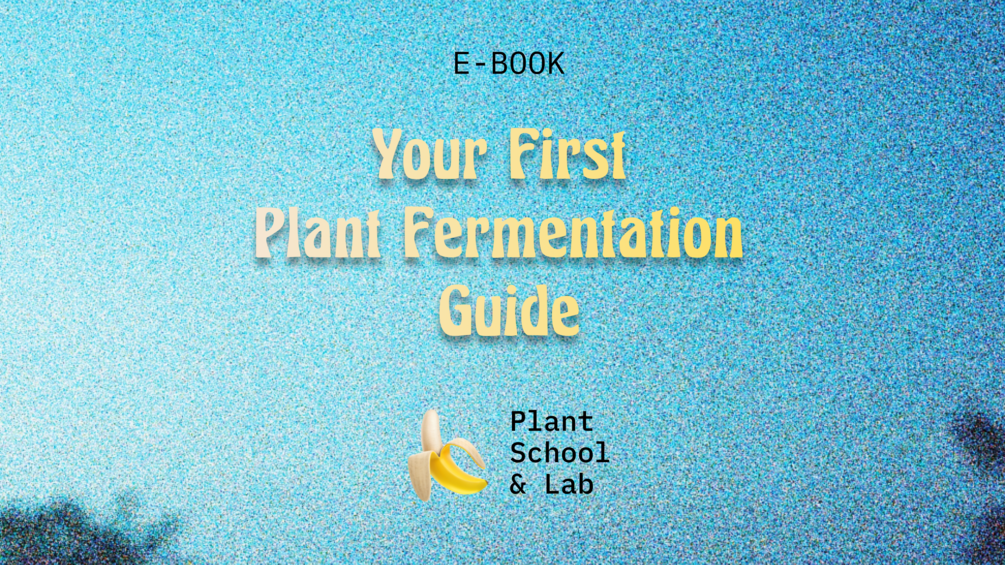 Your first plant-fermentation guide