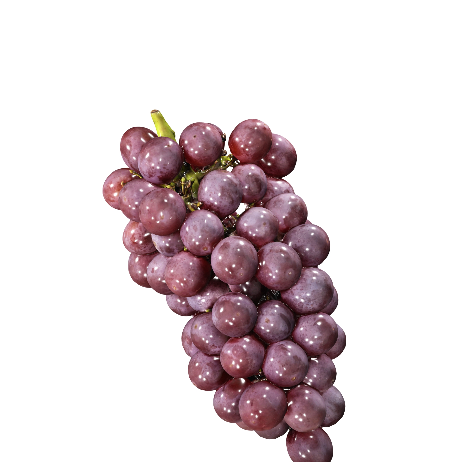 GRAPE VEGETABLE GRAPE STACK BREAD FRUIT TREE FOREST FLOWER PLANT FOOD ...