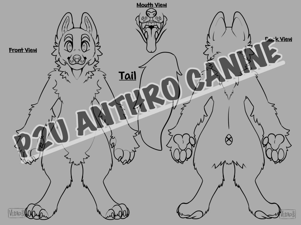 Basic Anthro Canine Base