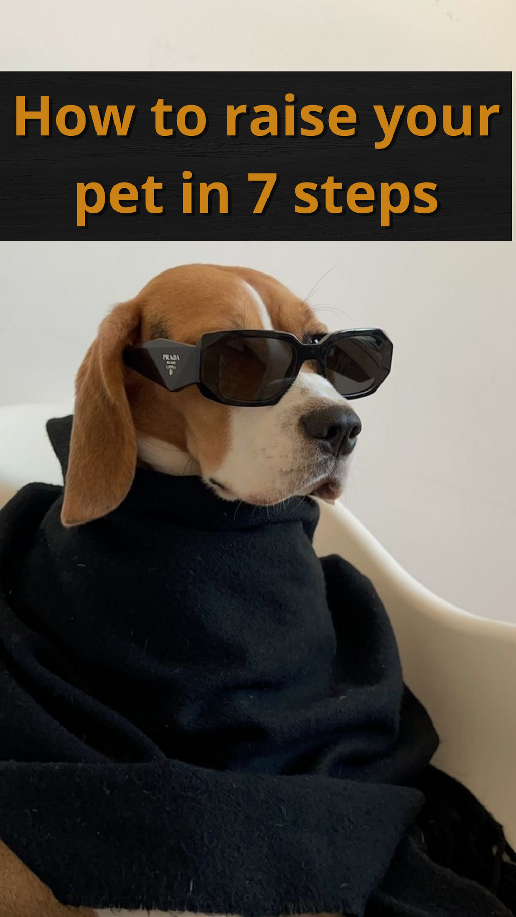 Learn how to raise your pet