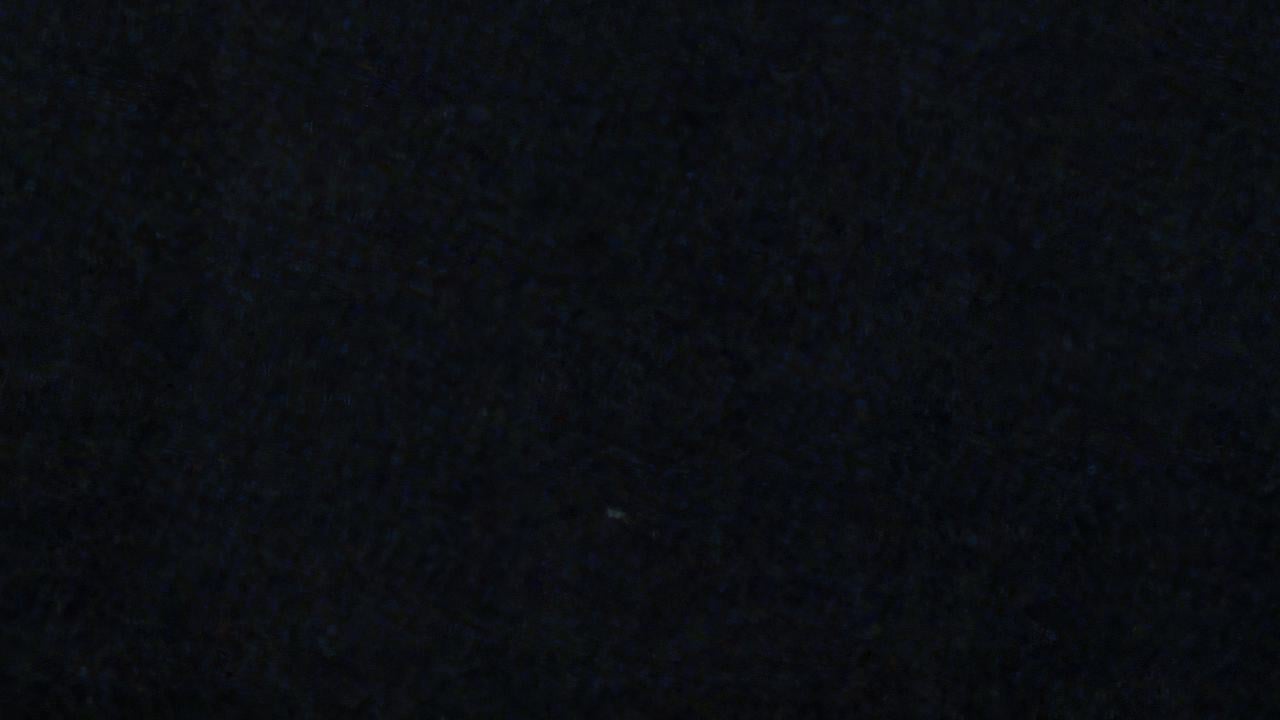 Allegory of Painting by Giovanni Domenico Cerrini