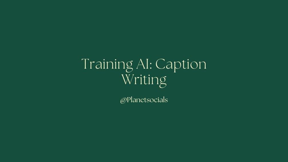 AI Training: Caption Writing
