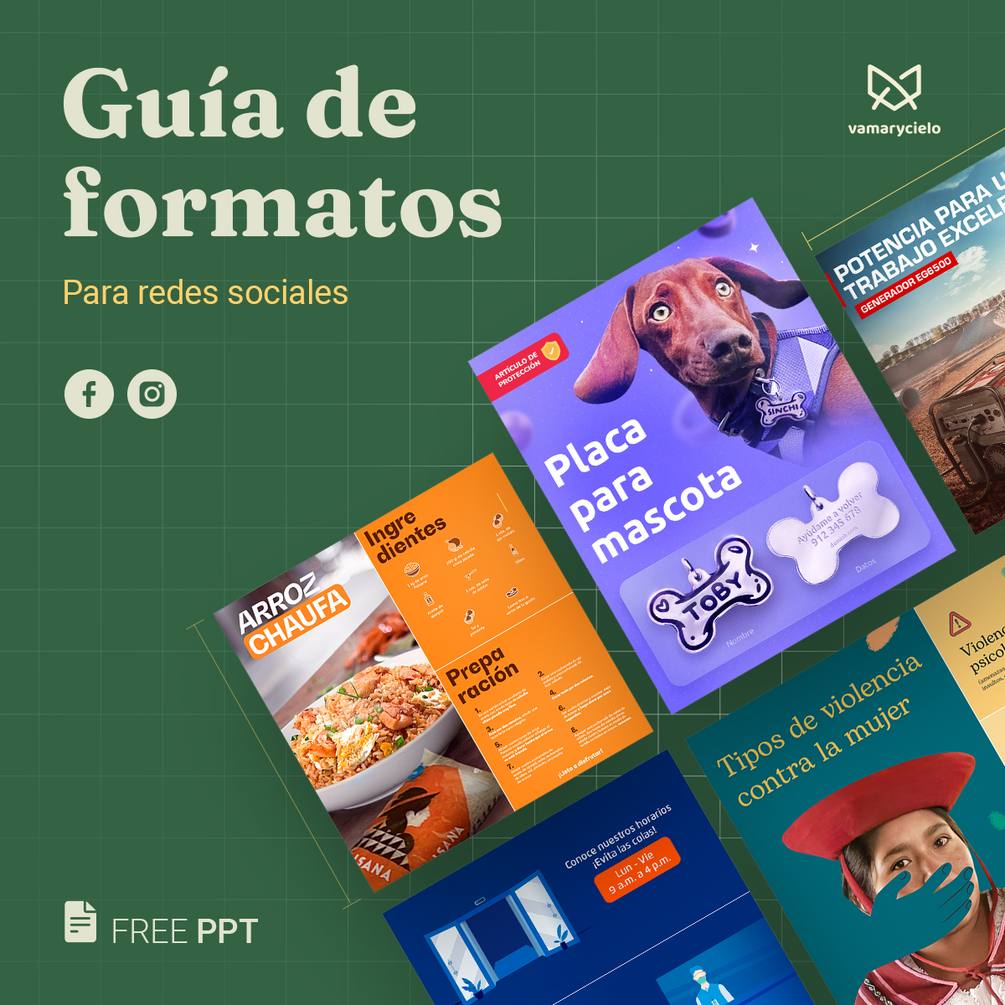 Guía de formatos RRSS
