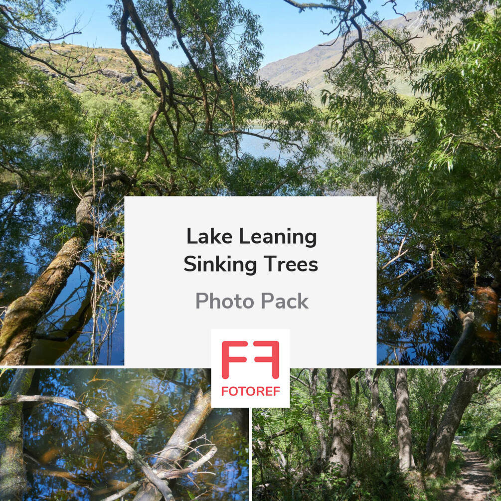 105 photos of Lake Leaning Sinking Trees