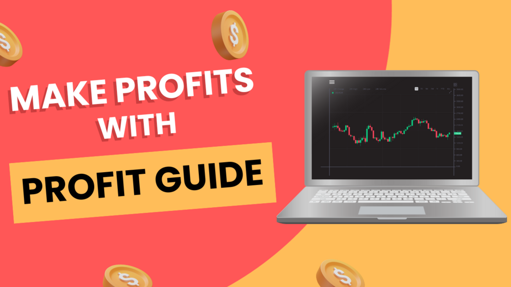 Profit Guide